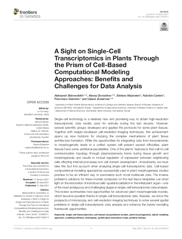 A Sight on Single-Cell Transcriptomics in Plants Through the Prism of Cell-Based Computational ...