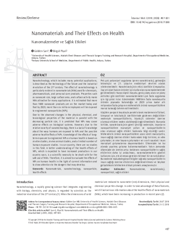 (PDF) Nanomaterials and Their Effects on Health | gulden sarı - Academia.edu