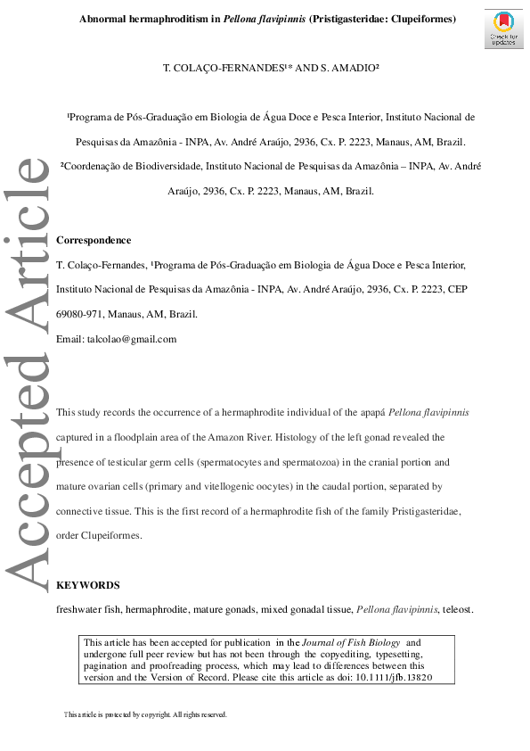 (PDF) Abnormal hermaphroditism in Pellona flavipinnis (Clupeiformes ...