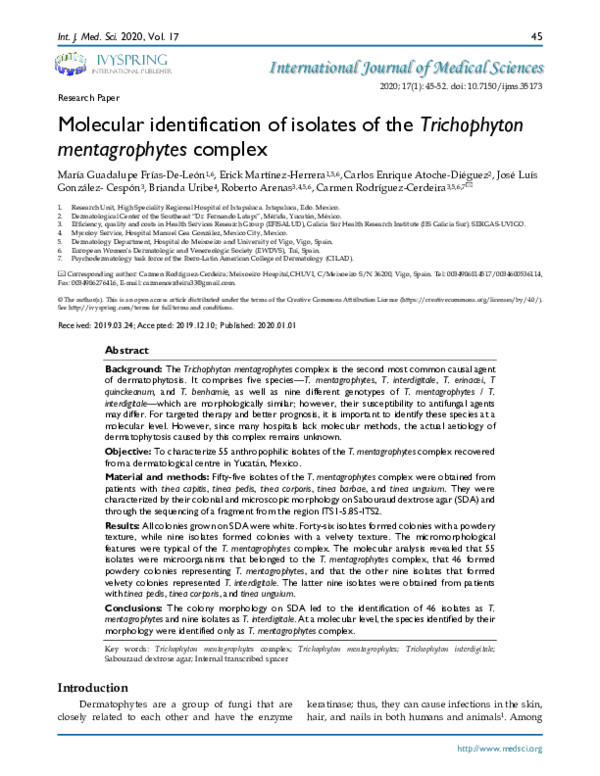 (PDF) Molecular identification of isolates of the Trichophyton ...