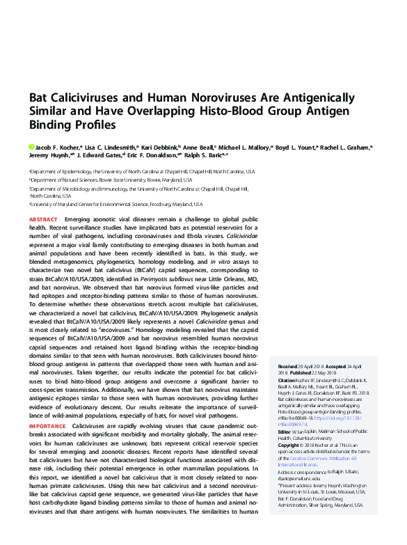 (PDF) Bat caliciviruses and human noroviruses are antigenically similar ...