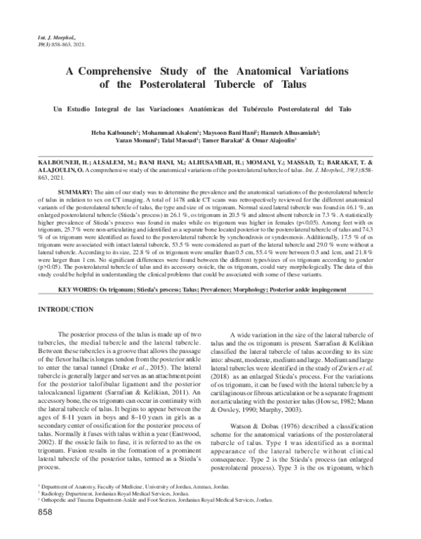(PDF) A Comprehensive Study of the Anatomical Variations of the ...