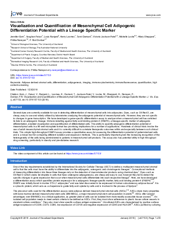 (PDF) Visualization and Quantification of Mesenchymal Cell Adipogenic Differentiation Potential ...