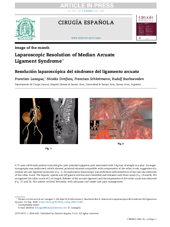 (PDF) Laparoscopic Resolution of Median Arcuate Ligament Syndrome