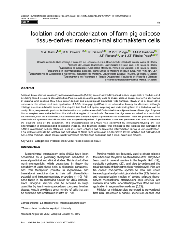 (PDF) Isolation and characterization of farm pig adipose tissue-derived ...