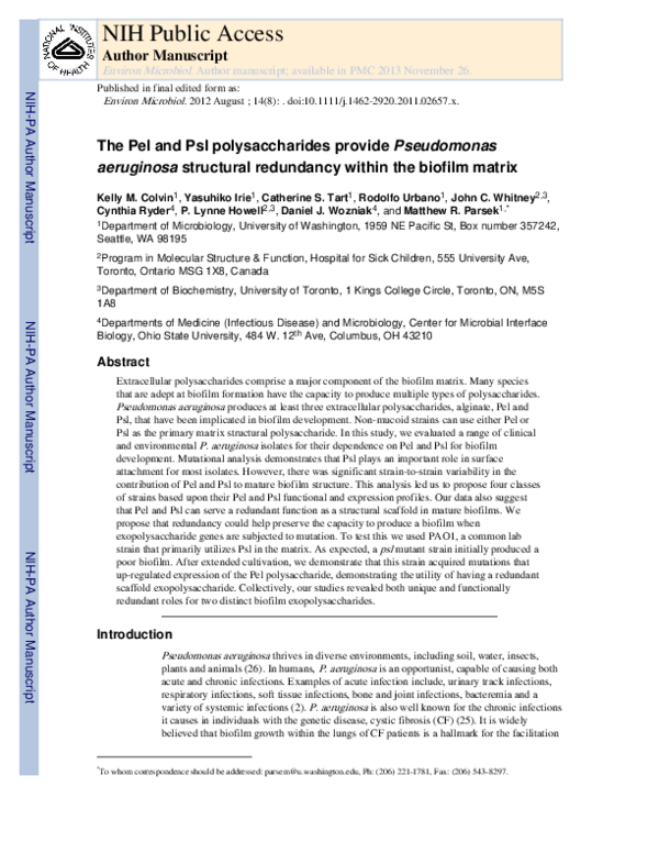 (PDF) The Pel and Psl polysaccharides provide Pseudomonas aeruginosa ...