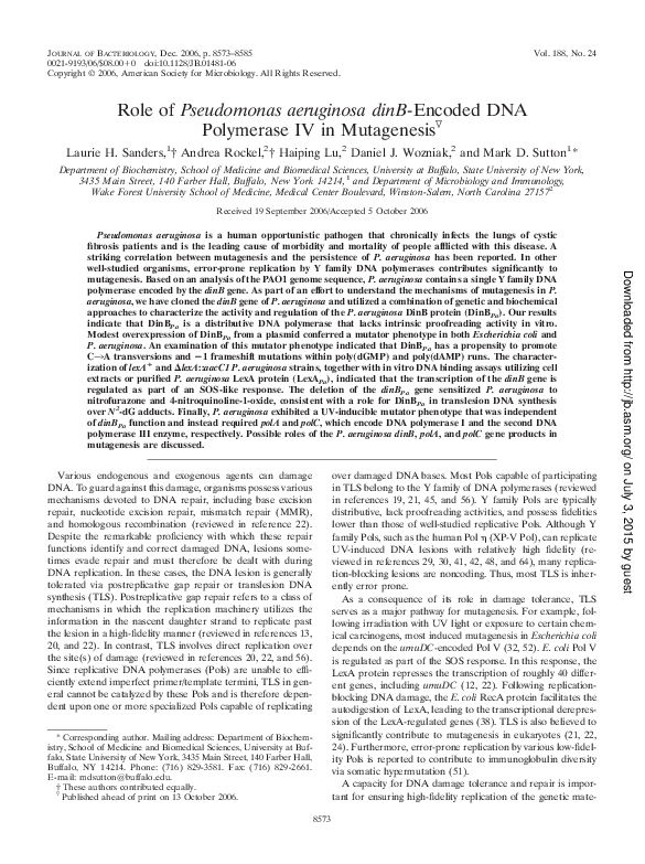 (PDF) Role of Pseudomonas aeruginosa dinB -Encoded DNA Polymerase IV in ...