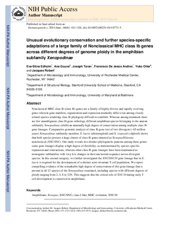 (PDF) Unusual evolutionary conservation and further species-specific ...