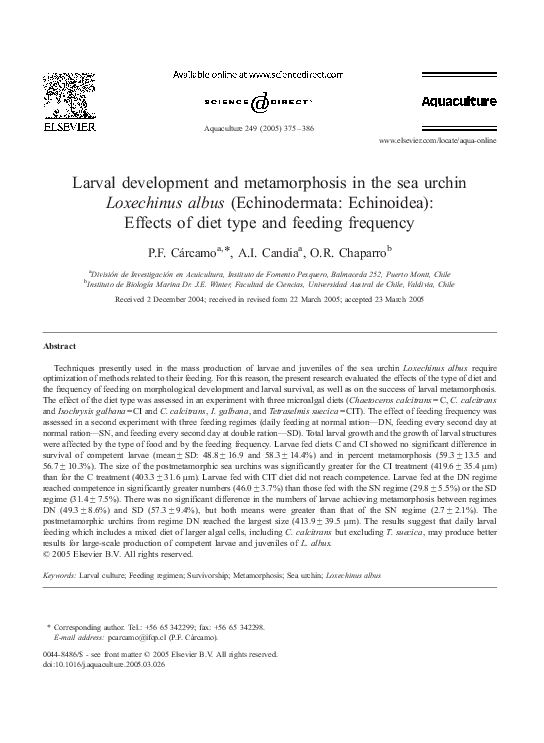(PDF) Larval development and metamorphosis in the sea urchin Loxechinus ...