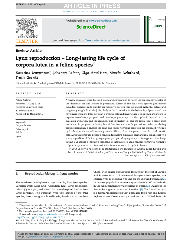 (PDF) Lynx reproduction – Long-lasting life cycle of corpora lutea in a ...