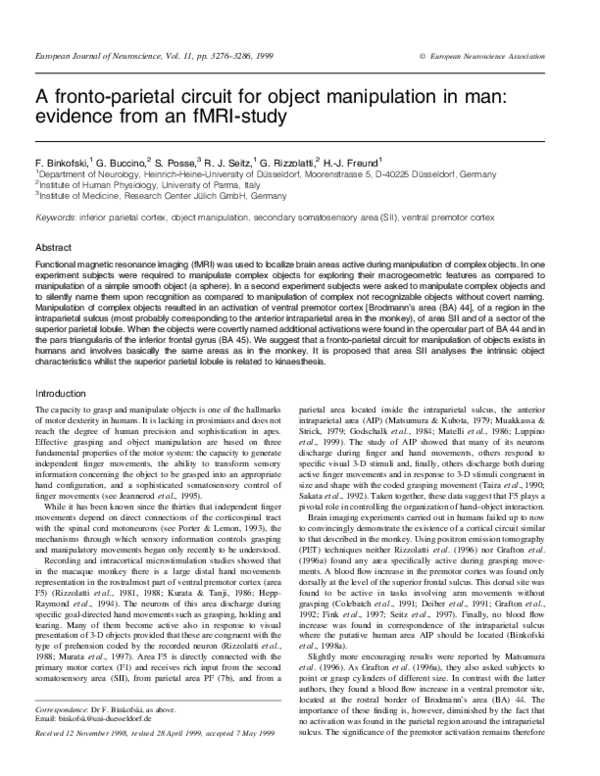 (PDF) A fronto-parietal circuit for object manipulation in man: evidence from an fMRI-study