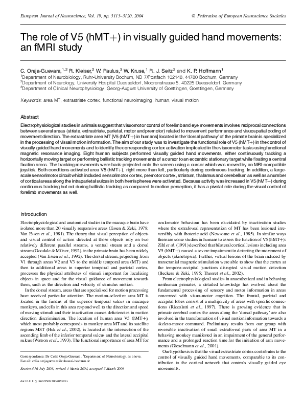 (PDF) The role of V5 (hMT+) in visually guided hand movements: an fMRI ...