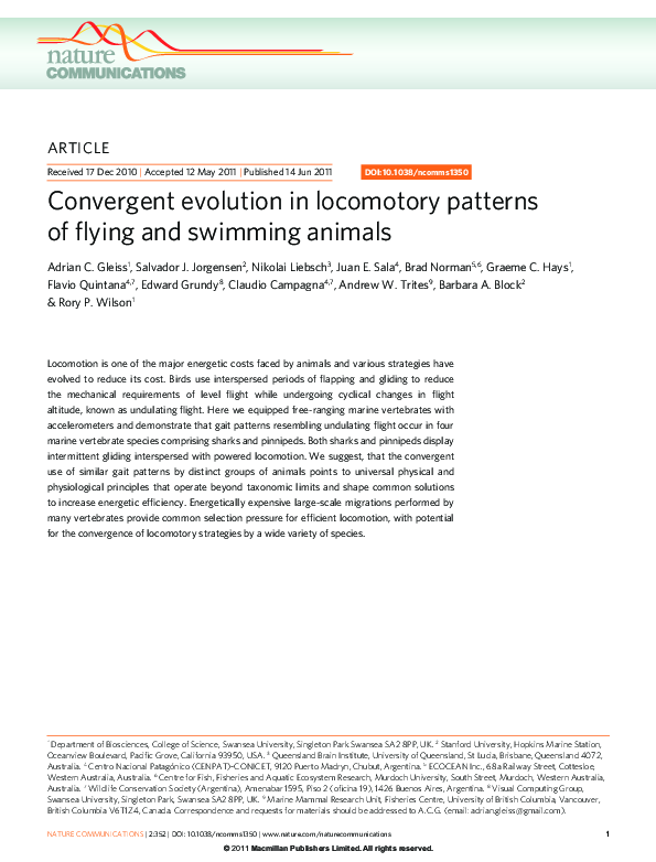 (PDF) Convergent evolution in locomotory patterns of flying and swimming animals