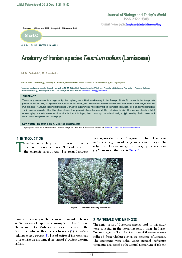 (PDF) Anatomy of Iranian species Teucrium polium (Lamiaceae)
