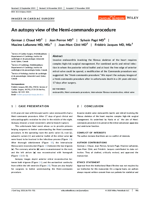 (PDF) An autopsy view of the Hemi-commando procedure