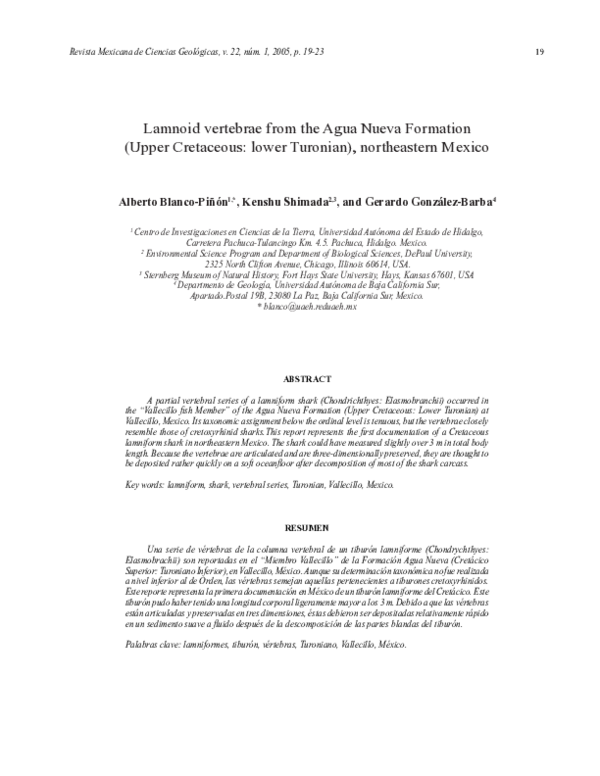 (PDF) Cretaceous Lamniform Shark from Mexico