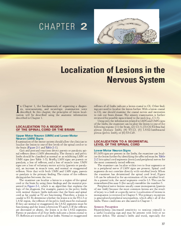 (PDF) Localization of Lesions in the Nervous System