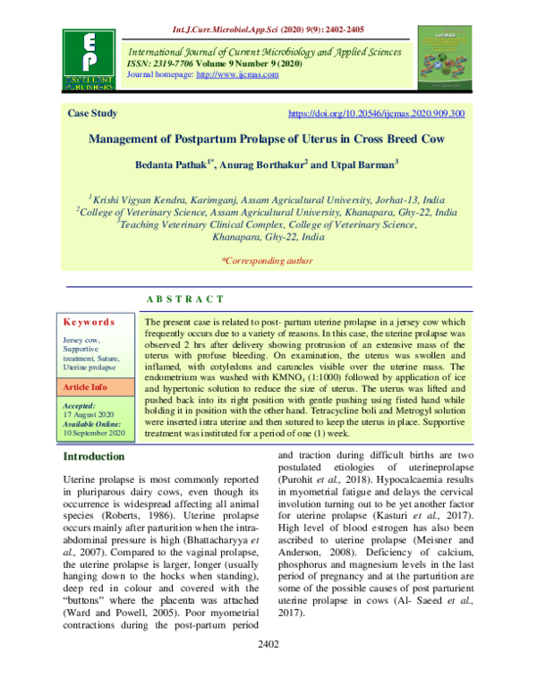 (PDF) Management of Postpartum Prolapse of Uterus in Cross Breed Cow