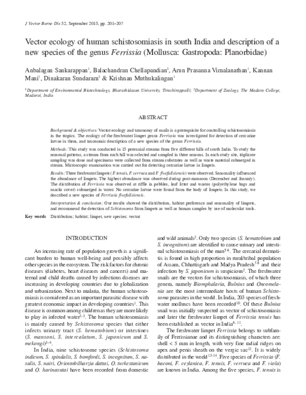 (PDF) Vector ecology of human schistosomiasis in south India and ...