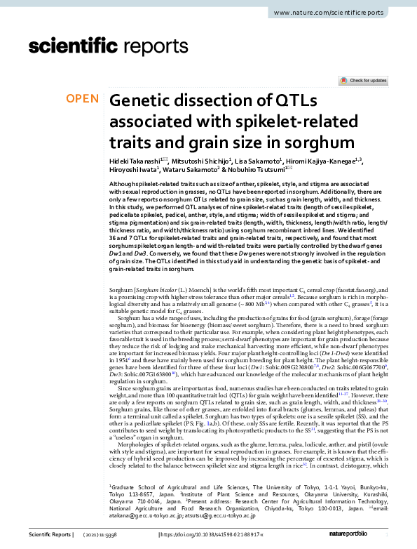 (PDF) Genetic dissection of QTLs associated with spikelet-related traits and grain size in sorghum