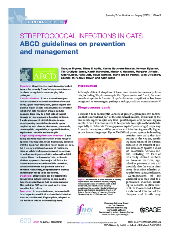(PDF) Streptococcal infections in cats: ABCD guidelines on prevention and management | maria ...