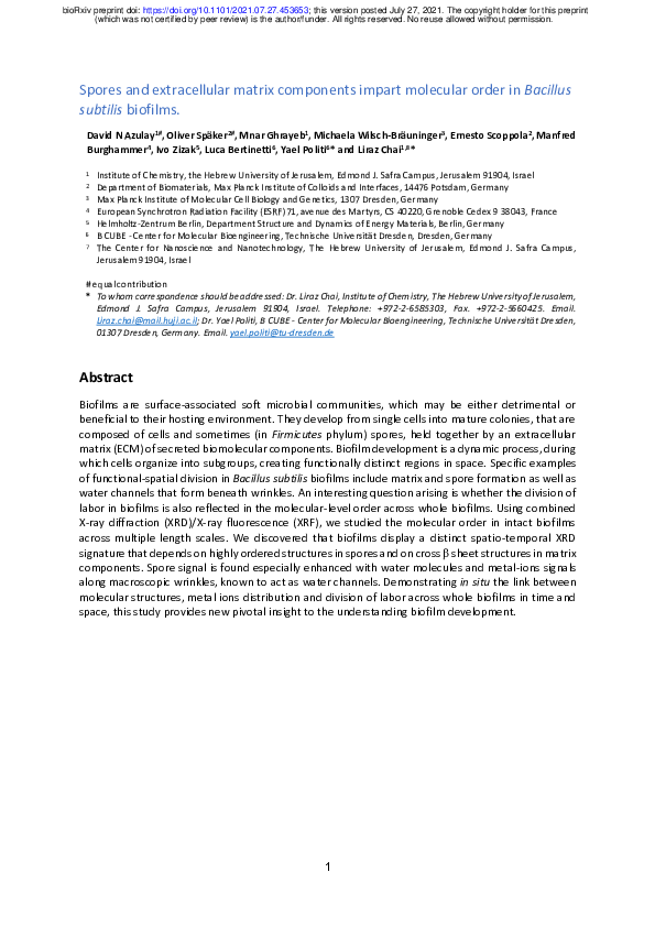 (PDF) Spores and extracellular matrix components impart molecular order ...