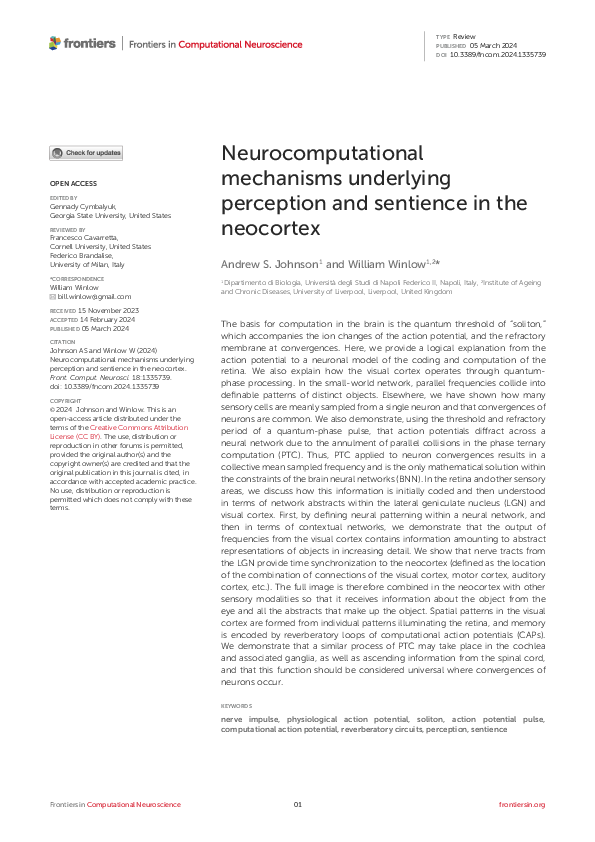 (PDF) Neurocomputational mechanisms underlying perception and sentience in the neocortex