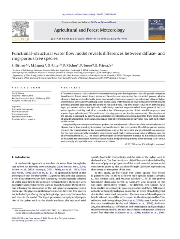 (PDF) Functional–structural water flow model reveals differences ...