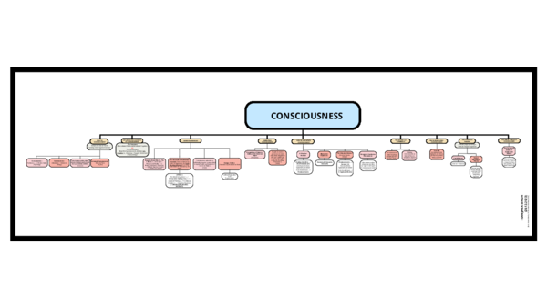 (PDF) The Consciousness Flow Chart