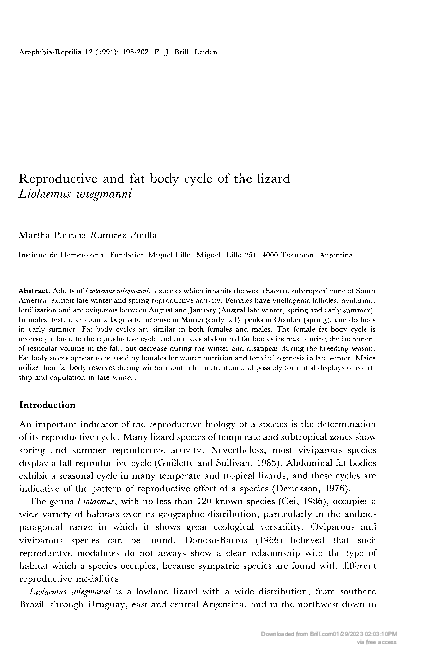 (PDF) Reproductive and fat body cycle of the lizard Liolaemus wiegmanni