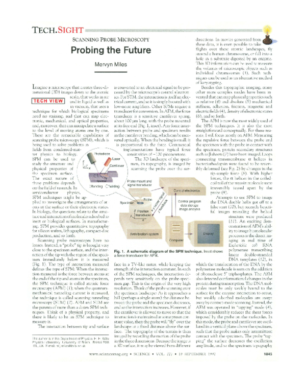 (PDF) SCANNING PROBE MICROSCOPY:Probing the Future