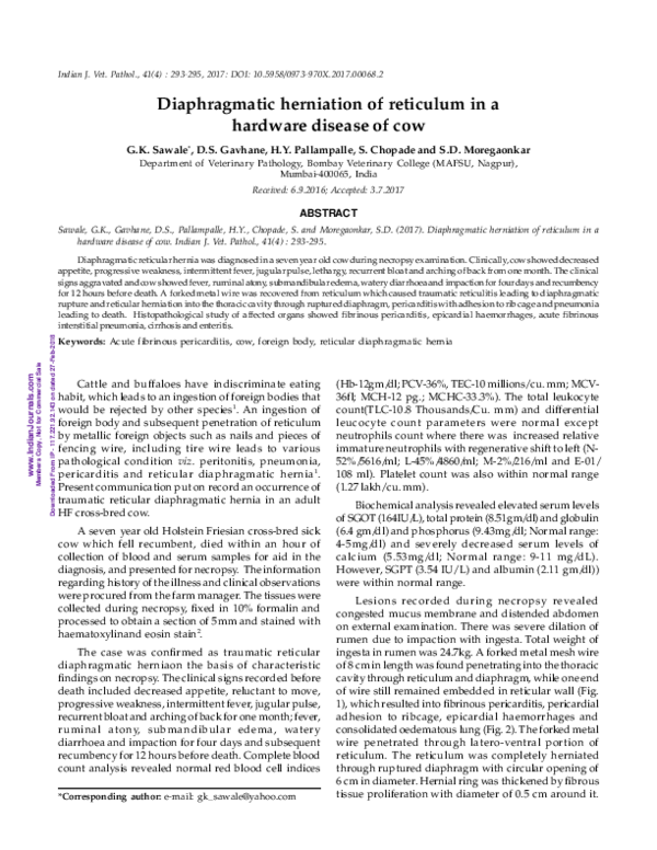 (PDF) Diaphragmatic herniation of reticulum in a hardware disease of cow