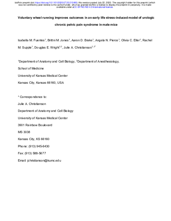 Voluntary wheel running improves outcomes in an early life stress ...