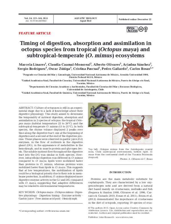 (PDF) Timing of digestion, absorption and assimilation in octopus ...