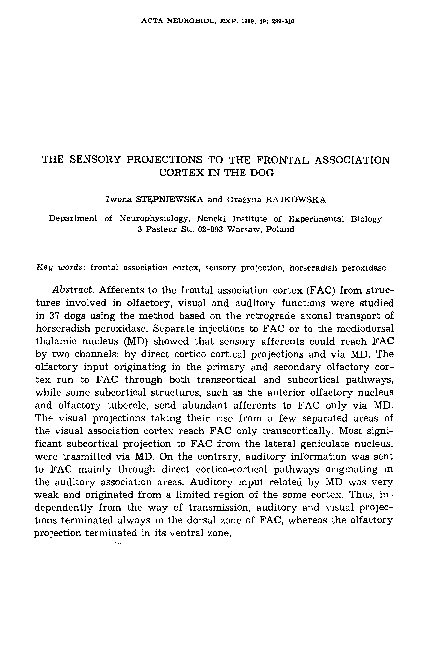 (PDF) The sensory projections to the frontal association cortex in the dog