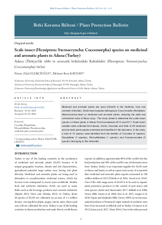 (PDF) Scale insect (Hemiptera: Sternorryncha: Coccomorpha) species on ...