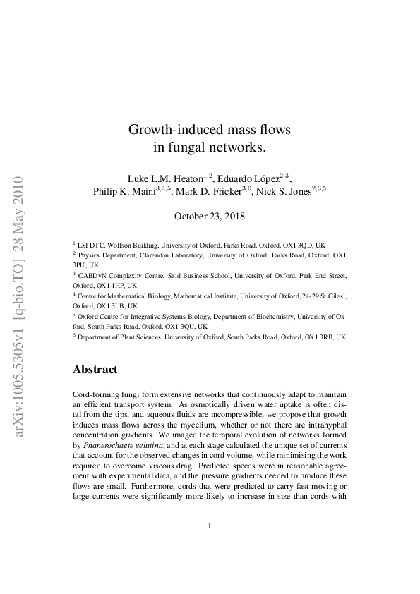 (PDF) Growth-induced mass flows in fungal networks | Luke Heaton ...