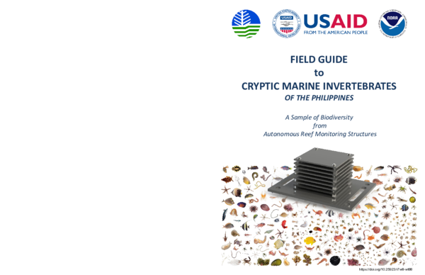 (PDF) Field Guide to Cryptic Marine Invertebrates of the Philippines: A ...