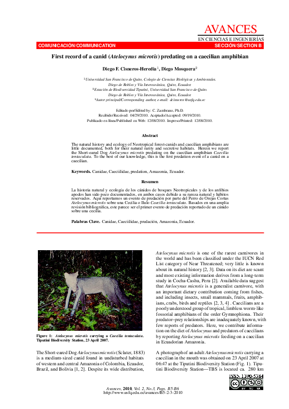 (PDF) First record of a canid (Atelocynus microtis) predating on a ...