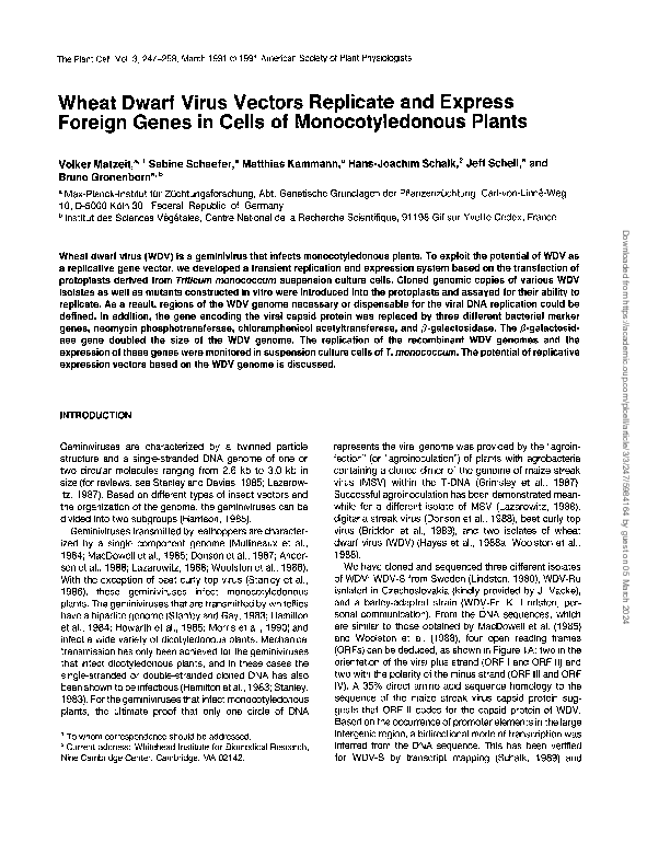 (PDF) Wheat Dwarf Virus Vectors Replicate and Express Foreign Genes in ...