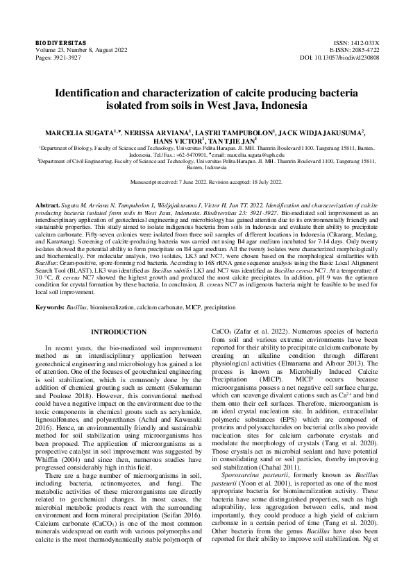 (PDF) Identification and characterization of calcite producing bacteria ...