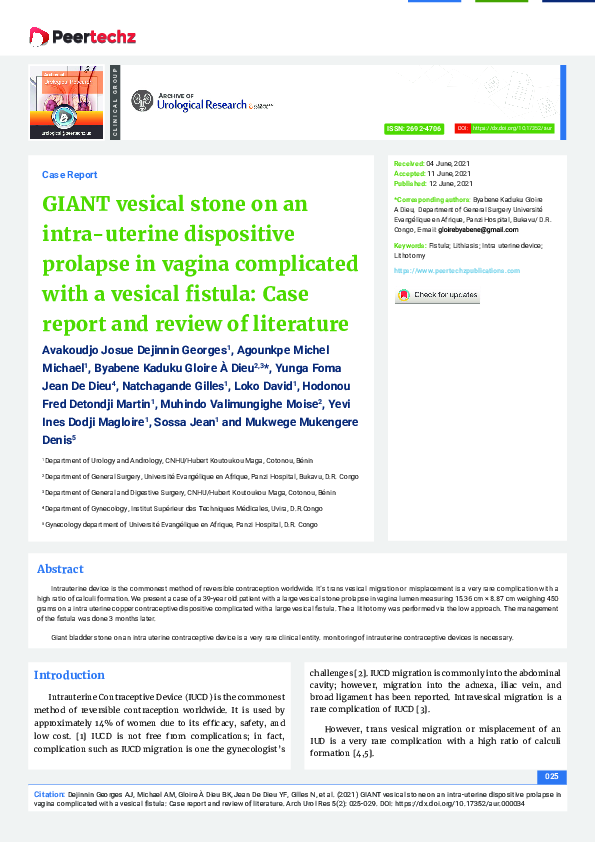 (PDF) Giant Vesical Stone from IUD Complication