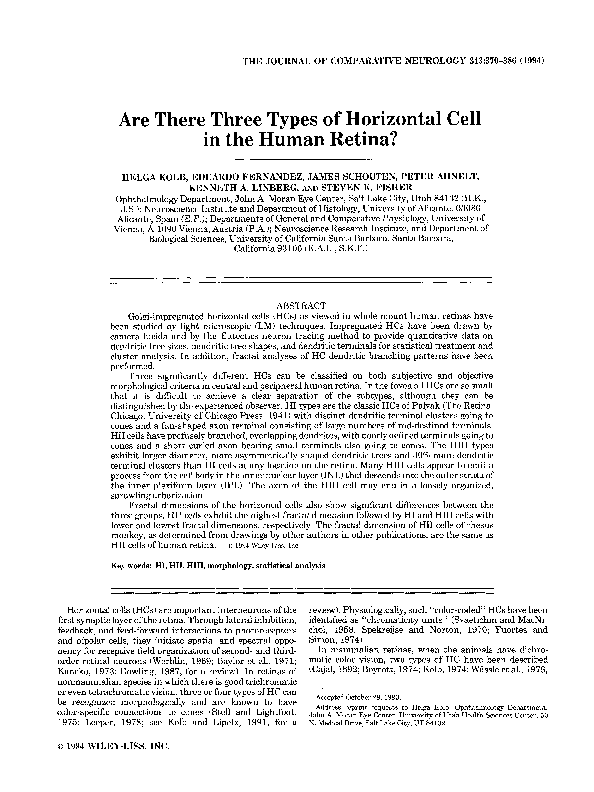 (PDF) Are there three types of horizontal cell in the human retina?