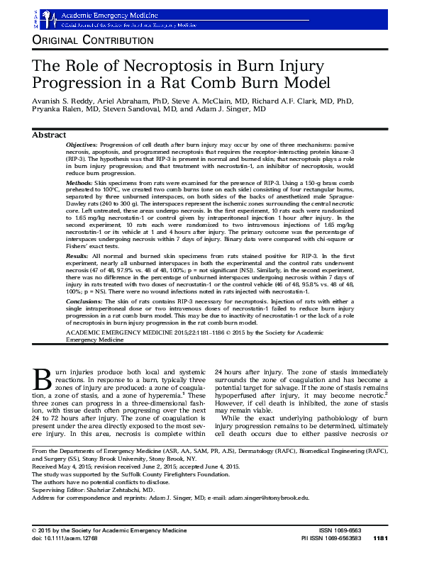 (PDF) The Role of Necroptosis in Burn Injury Progression in a Rat Comb ...