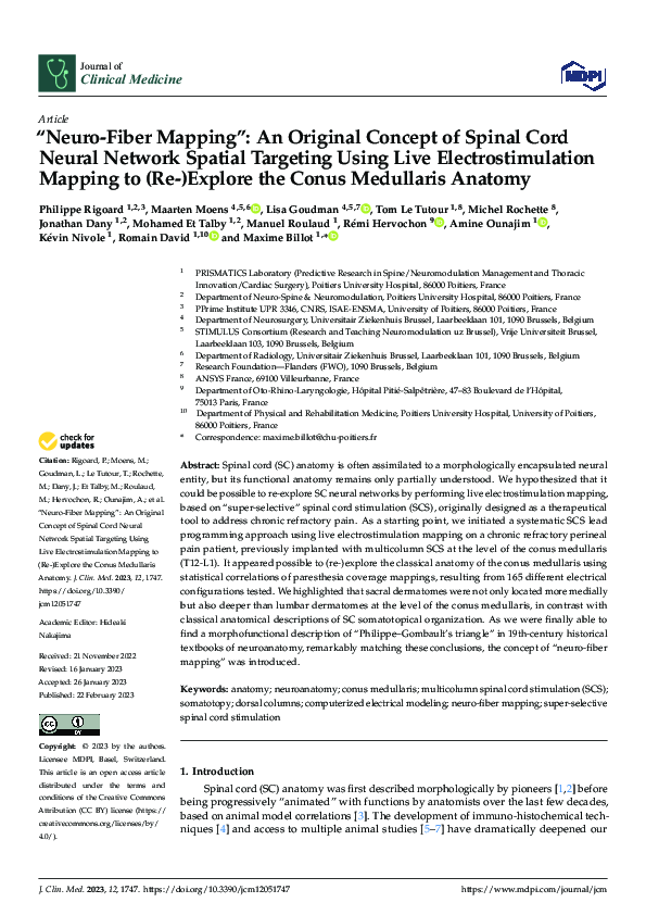(PDF) “Neuro-Fiber Mapping”: An Original Concept of Spinal Cord Neural ...