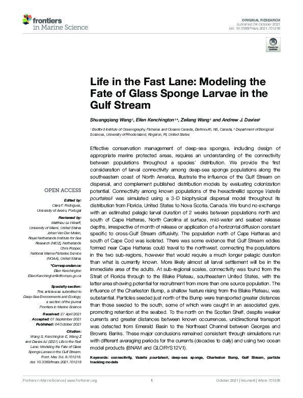 (PDF) Life in the Fast Lane: Modeling the Fate of Glass Sponge Larvae ...