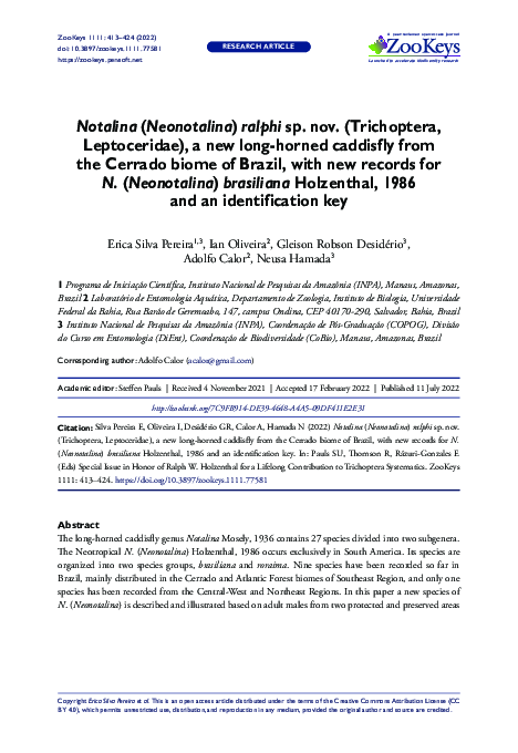 (PDF) ﻿Notalina (Neonotalina) ﻿ralphi sp. nov. (Trichoptera ...