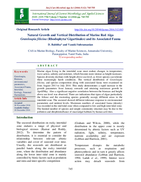 (PDF) Natural Growth and Vertical Distribution of Marine Red Alga ...