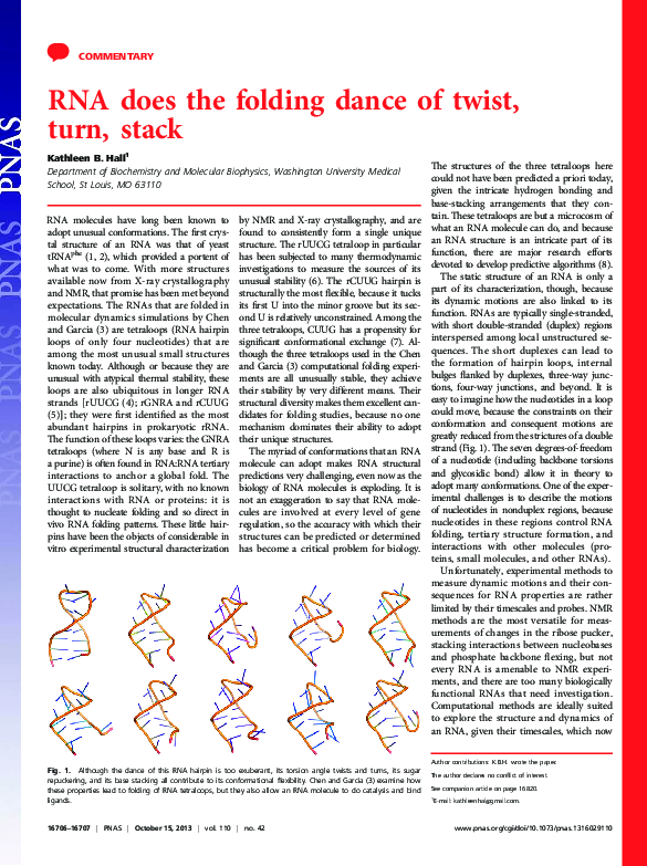 (PDF) RNA does the folding dance of twist, turn, stack | Kathleen Hall ...