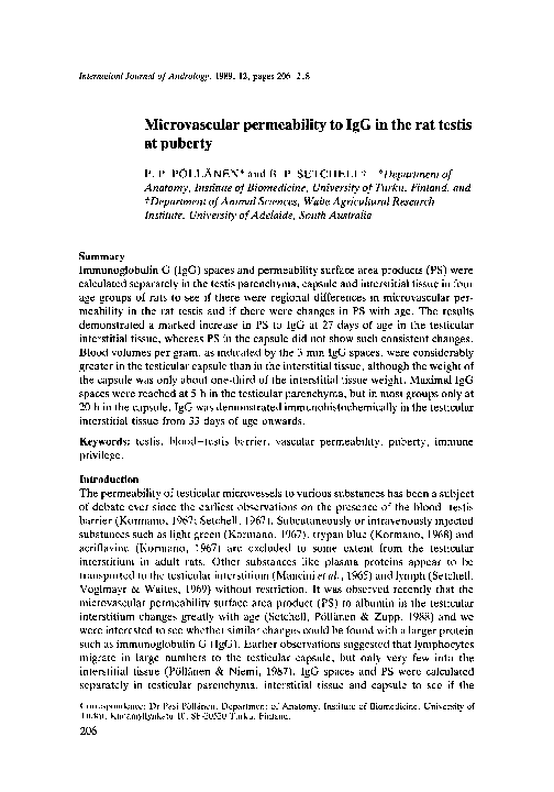 (PDF) Microvascular permeability to IgG in the rat testis at puberty